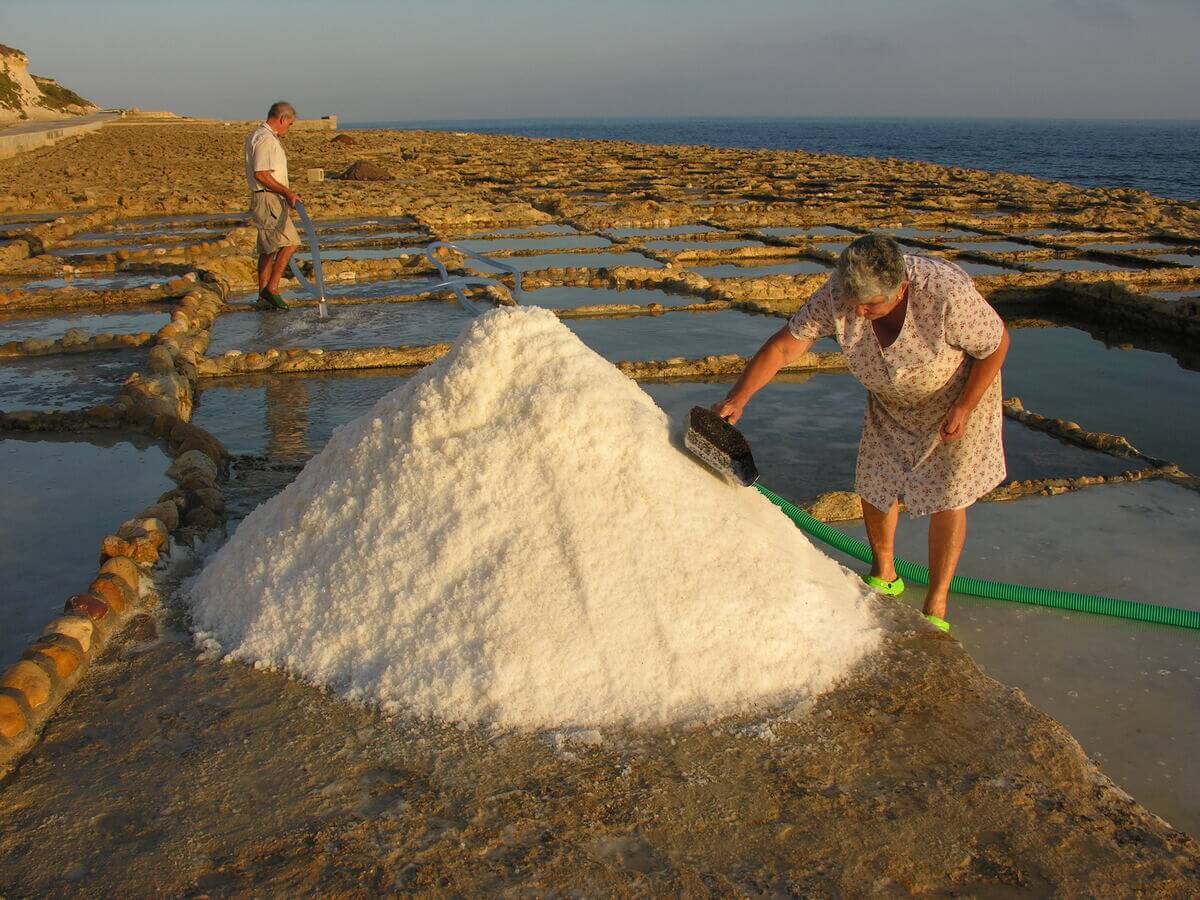 Xwejni Salt Pans, a new member of the MedWet Managers Network - The ...